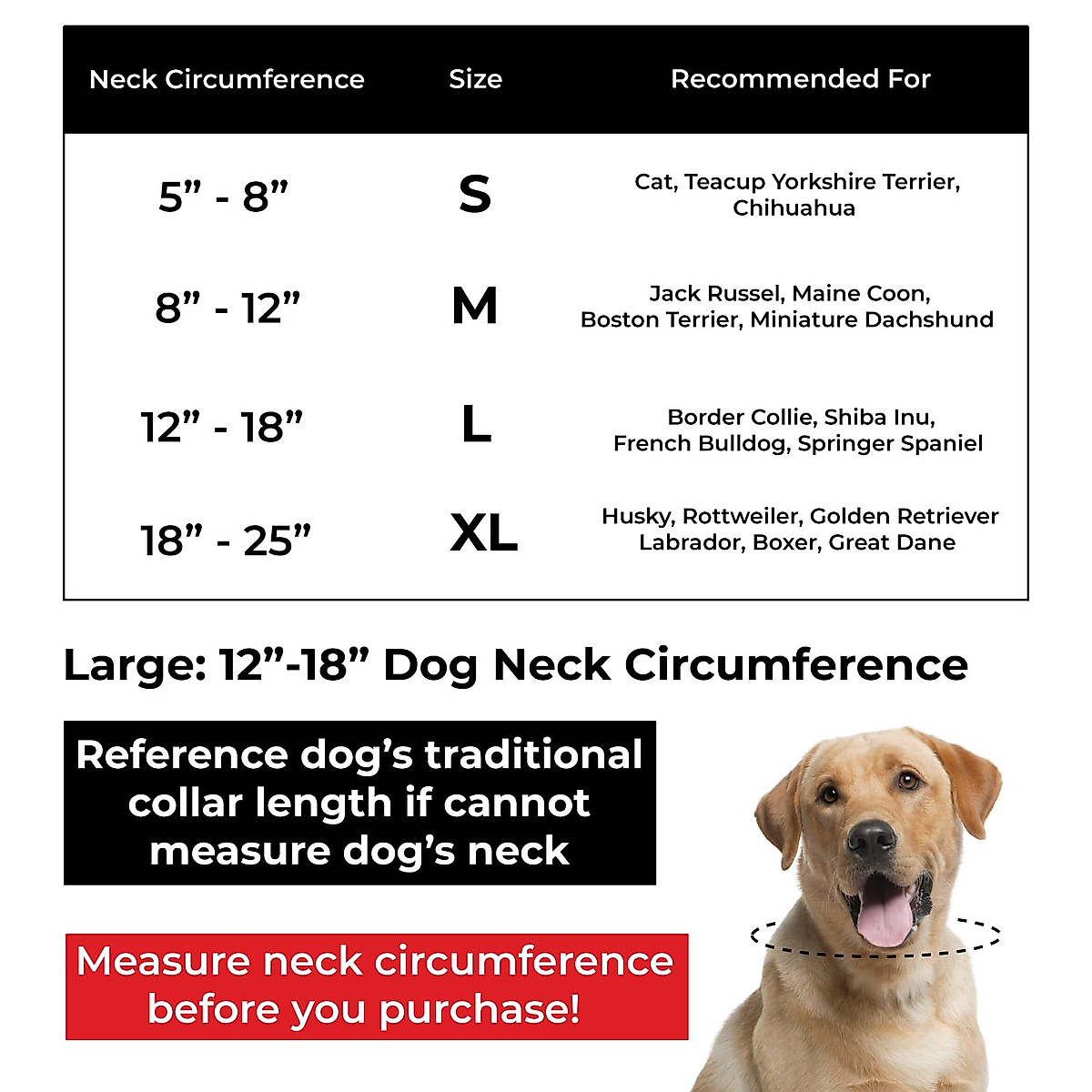 Choola Pet Shark Theme Inflatable Dog Cone Collar (Large) for After Surgery Care Bundled with Pump and Extra Tube