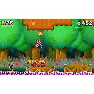 Nintendo 3DS New Super Mario Bros. 2 (3DS)