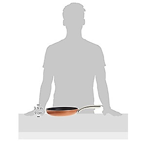 Gotham Steel 10-inch Nonstick Fry Pan Skillet with Ultra Durable Mineral and Diamond Triple Coated 100% PFOA Free, Skillet with Stay Cool Stainless-Steel Handle, Oven & Dishwasher Safe, As Seen on TV