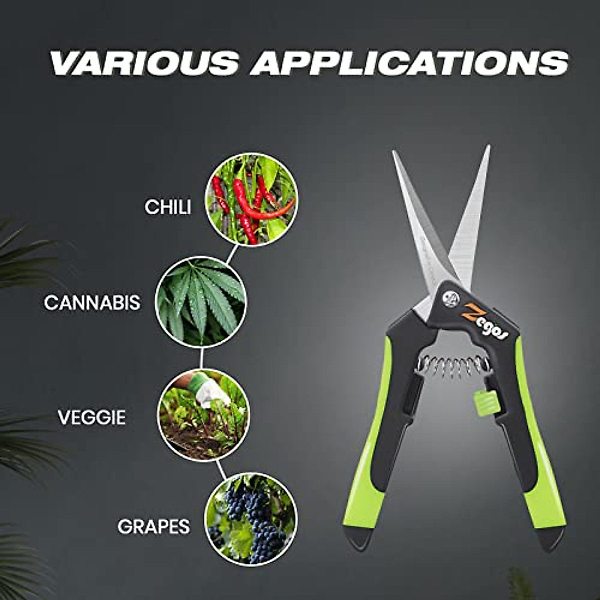 Zegos Bud Trimming Scissor 1 Pack with Curved Blades and Titanium Non-sticky Coating, Precision Pruning Shears, Hand Pruning Snips, Garden Scissors for Herb and Bud Trimming, Bonsai Cutting