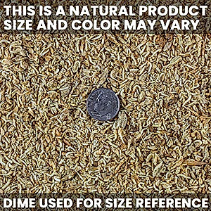 San Francisco Bay Brand Freeze-Dried Mysis Shrimp 0.88-Ounces (25 Grams) Jar