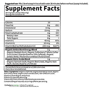 Garden of Life Sport Organic Plant-Based Energy + Focus Vegan Clean Pre Workout Powder, Sugar & Gluten Free BlackBerry Cherry with 85mg Caffeine, Natural NO Booster, B12, 40 Servings, 8.14 Oz