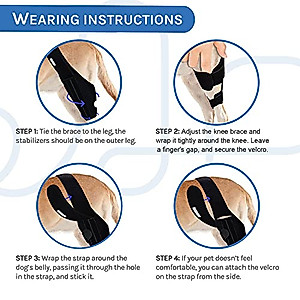 MerryMilo Adjustable Pet Knee Brace For Support With Cruciate Ligament Injury, Joint Pain And Muscle Sore, Better Recovery With Dog ACL Rear Leg Brace, (Size: M)