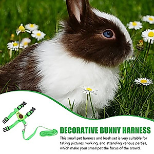Ipetboom Bunny Harness and Leash: 1 Set Avocado Adjustable Small Pet Fruit Summer Outfit Costume for Rabbit Kitten Small Animal Hedgehog Ferret Piggies Squirrel Safety Walking Jogging