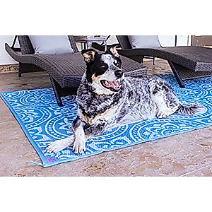 Stylish Camping 255083 5-feet by 8-feet Reversible Mat, Plastic Straw Rug, Large Floor Mat for Outdoors, RV, Patio, Backyard, Picnic, Beach, Camping - Leaf Mat (Turquoise/White)
