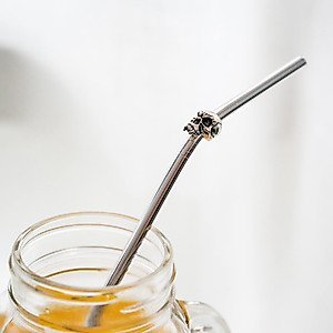 Stainless Steel Straws - 8 Pcs Skull Decor Halloween Reusable Drinking Straws + 2 Pcs Straw Squeegee for Suitable cup depth 6 Inch (Silver Canine Teeth)