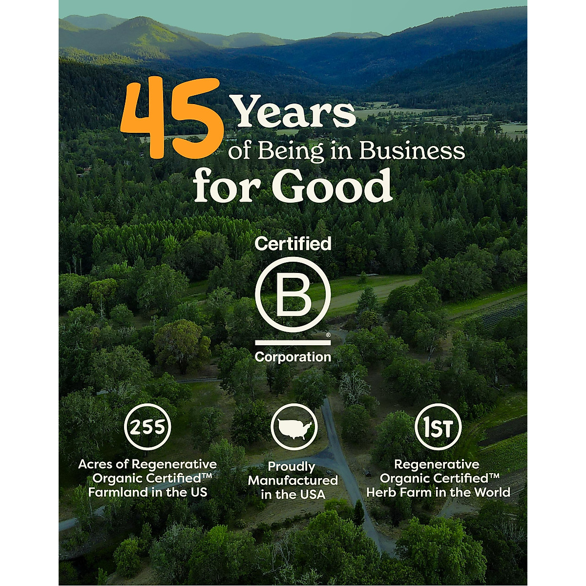 Herb Pharm Organic Nootropic Brain & Memory Supplement with Ginkgo Biloba Liquid Extract: Fast Absorption for Mental Focus Support, Ginkgo Supplement, Vegan, Gluten-Free, Non-GMO, 1 Oz