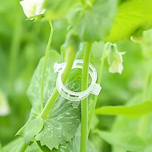 GXXMEI 302PCS Plastic Trellis Plant Support Clips for Support, Grape And Tomato Vine, Vegetables Plants, Garden lips to Grow Upright Makes Plants Healthier
