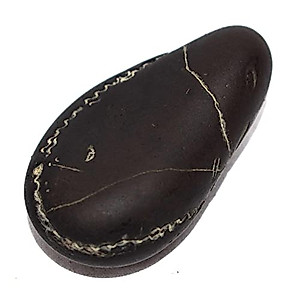 Laxmi Vishnu Paduka Shaligram - Gandaki River Nepal, Fossil, Fossil