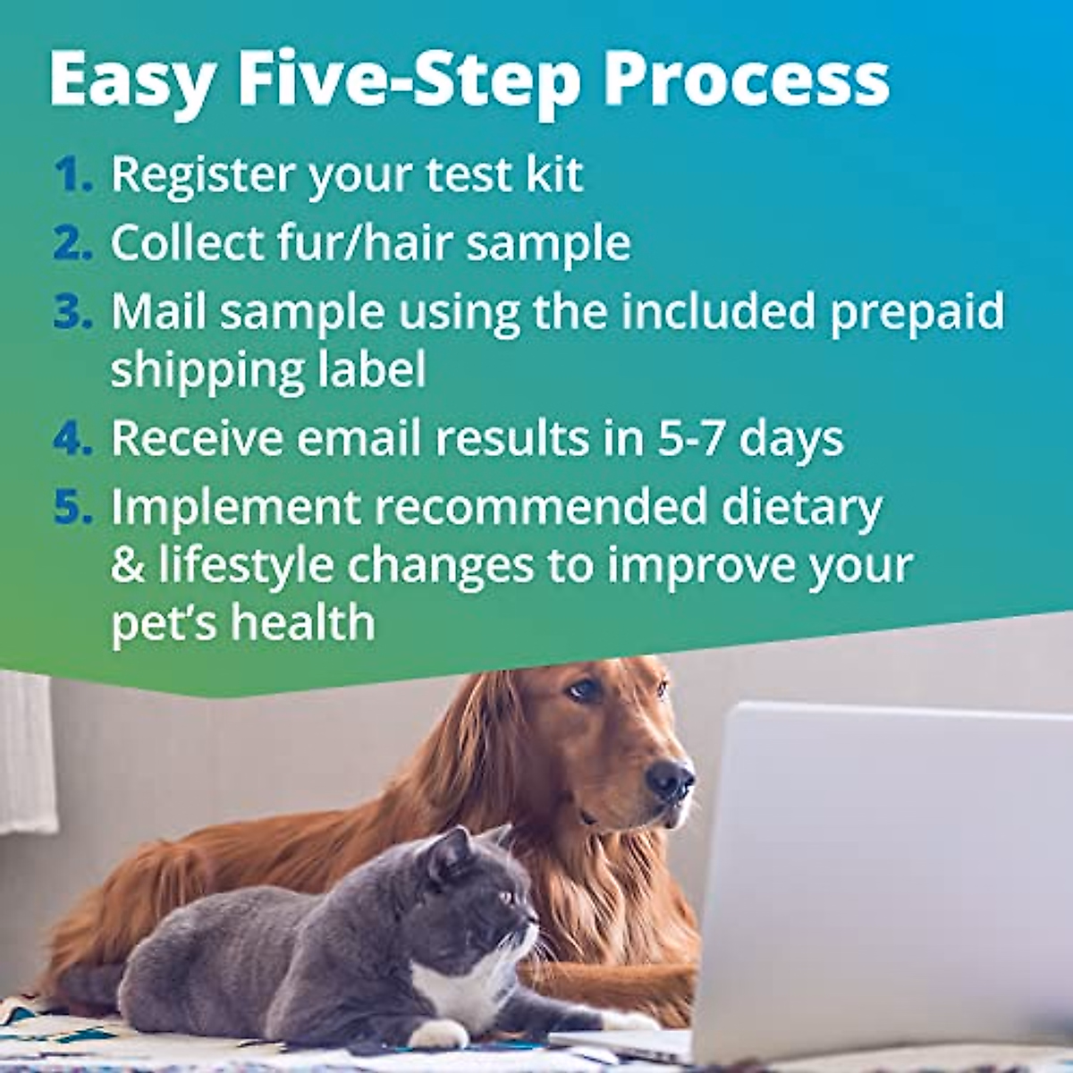 5Strands Pet Health Test - Food Intolerance, Environment Intolerance, Nutrition, Metals and Minerals - at Home Dog or Cat Hair Sample Collection Kit, Results in 7 Days, Works for All Ages and Breeds