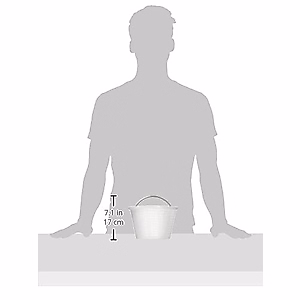 Pentair 516112Z Basket Handle, White