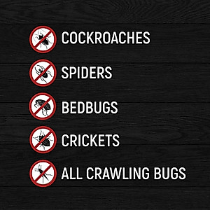 Exterminator’s Choice - Peel and Stick Glue Traps - Professional Quality Covered Glue Sticky Traps - Easy Pest Control for Ants, Roaches, Crickets, Spiders, Beetles and More - Includes 10 Traps