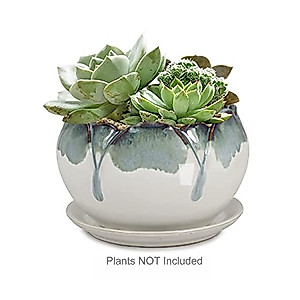 Dahlia 5.5'' Inch Rustic Drip Glazed Ceramic Planter/Succulent Pot/Plant Pot w. Saucer/Tray