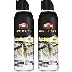 Ortho Home Defense Hornet & Wasp Killer with Entrapping Foam and Jet Spray, 16 oz. (2-Pack)