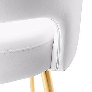 Modway Rouse Performance Velvet Dining Side Chair in White