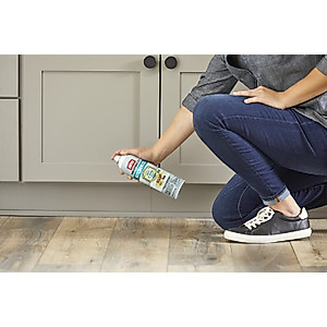 Ortho Home Defense Max Kitchen Insect Killer that Kills and Sanitizes in One Treatment, Aerosol, 18 oz.