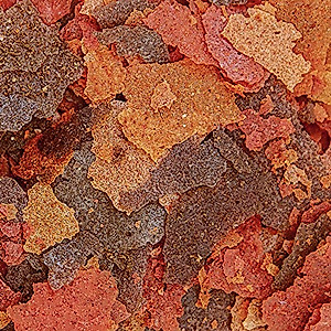 Ocean Nutrition Brine Shrimp Plus Flakes 5.5-Ounces (154 Grams) Jar