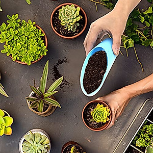 ORNOOU 10 Pieces Bonsai Soil Scoop Plastic Succulent Soil Scoop Indoor Plants Little Small Potting Shovel Bucket Shovel for Garden Planting,Random