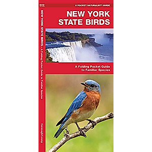 New York State Birds: A Folding Pocket Guide to Familiar Species (Nature Observation North America)