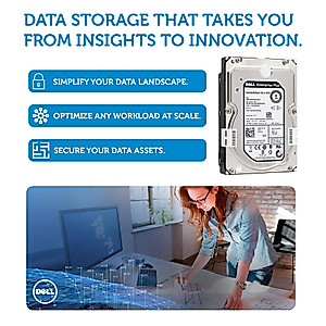 DELL ENTERPRISE CLASS 4TB 7.2K RPM SATA 3.5" 6Gbps HARD DRIVE W/TRAY FOR PowerEdge R210 II R220 R310 R320 R410 R415 R420 R510 R515 R520 R710 R720 R720XD T110 II T310 T320 T410 T420 T620 T710 (Renewed)