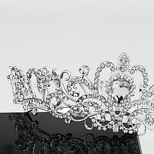 AOPRIE Tiara and Crown for Women Silver Bride Veil Silver Bridal Shower Supplies Bachelorette Party Decorations Gift Sets