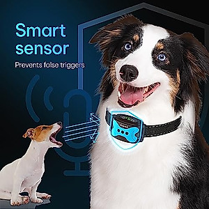 DogRook Dog Bark Collar - Rechargeable Smart Anti Barking Collar for Dogs - Waterproof No Shock Bark Collar for Small/Medium/Large Dogs - Anti Bark Collar for Dogs with 5 Sensitivity Levels