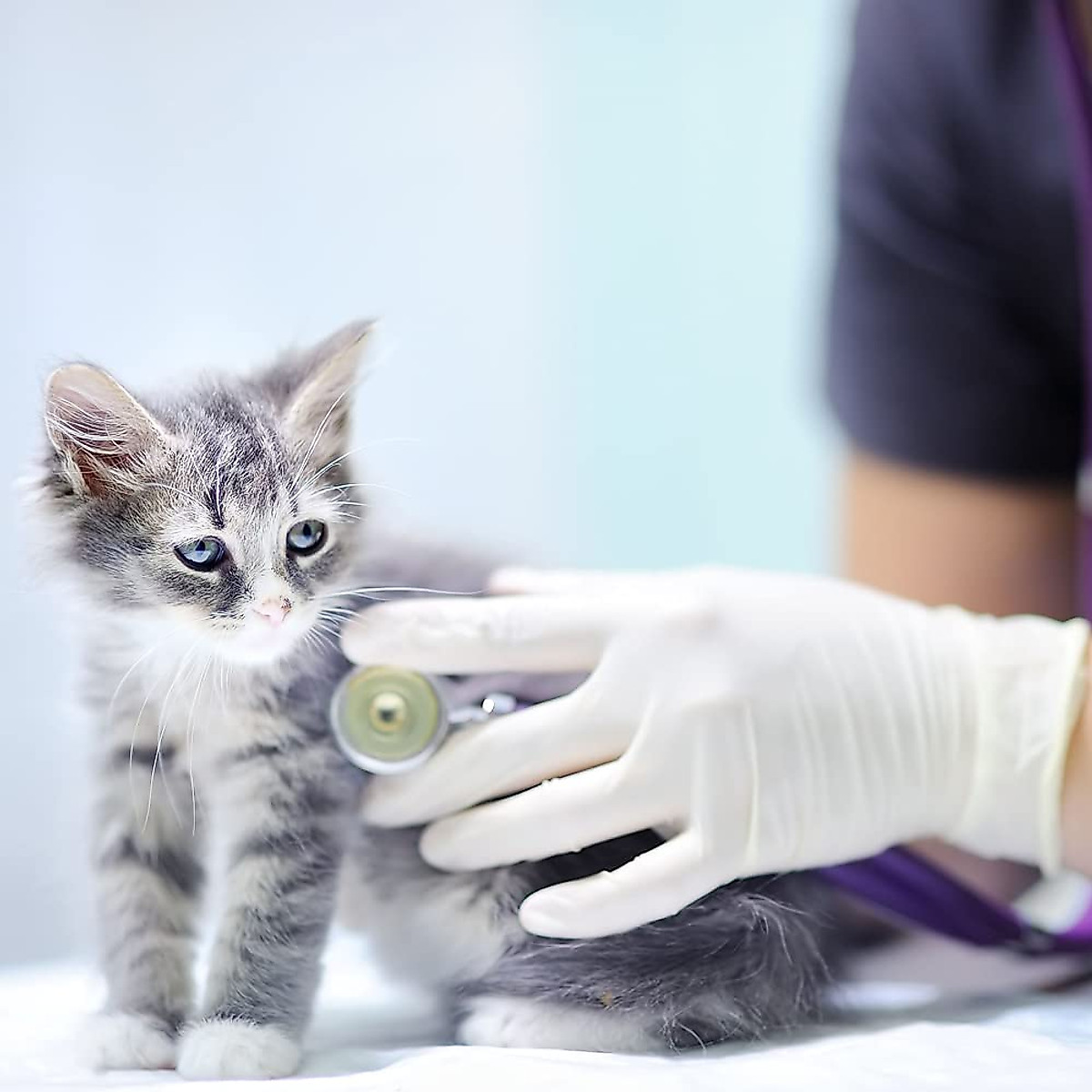 TRONEX 1000 Pack XS Latex Exam Gloves Rubber X-Small Medical Grade Gloves Textured Powder Free