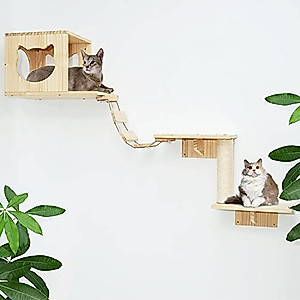 Cat Wall Shelves, Cat Shelves and Perches for Wall, Cat Wall Furniture Set 5 PCS Cat Wall Mounted with 1 Cat Condos House, 2 Cat Wall Shelves, 1 Cat Sisal Scratching Post, 1 Ladder
