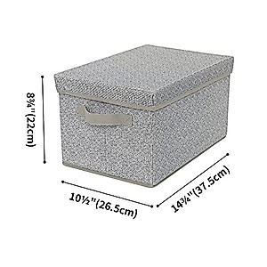 GRANNY SAYS Bundle of 3-Pack Rectangle Storage Bins & 1-Pack Hanging Closet Organizer