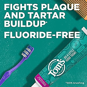 Tom's of Maine Fluoride-Free Antiplaque & Whitening Natural Toothpaste Gel, Spearmint, 4.7 oz. 2-Pack (Packaging May Vary)