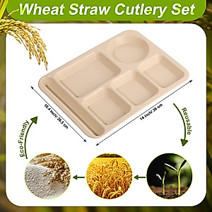 Pinkunn 8 Pcs Large 14 Inch Wheat Straw Divided Plates Unbreakable Divided Plates Dinnerware Set Microwave Dishwasher School Lunch Tray Lightweight Plates(Multicolor)