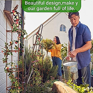 4 Pack 6 ft Garden Obelisk Trellis for Climbing Plants Outdoor Rustproof Rose Trellis for Pots Tall Tower Plant Trellis Metal Garden Trellis for Outdoor Indoor Vines Flower Plants Support (Brown)