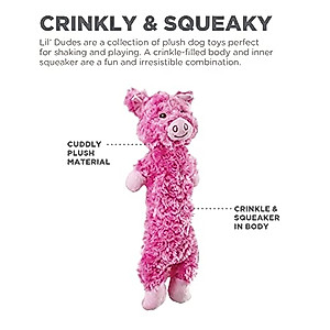 Outward Hound by Charming Pet Lil' Dudes Pig Plush Squeaky Dog Toy