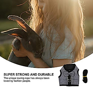 Cat Harness, Rabbit Harness with Leash Soft Mesh Vest Harness Clothes for Rabbit Ferret Bunny Kitten Guinea Pig Walking (S, Black)