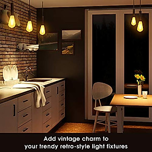 Sengled Zigbee Smart Bulb, Smart Hub Required, Work with SmartThings and Echo with built-in Hub, Voice Control with Alexa and Google Home, Amber Warm 2000K Smart Edison Bulbs, 60W Equivalent 1 Pack