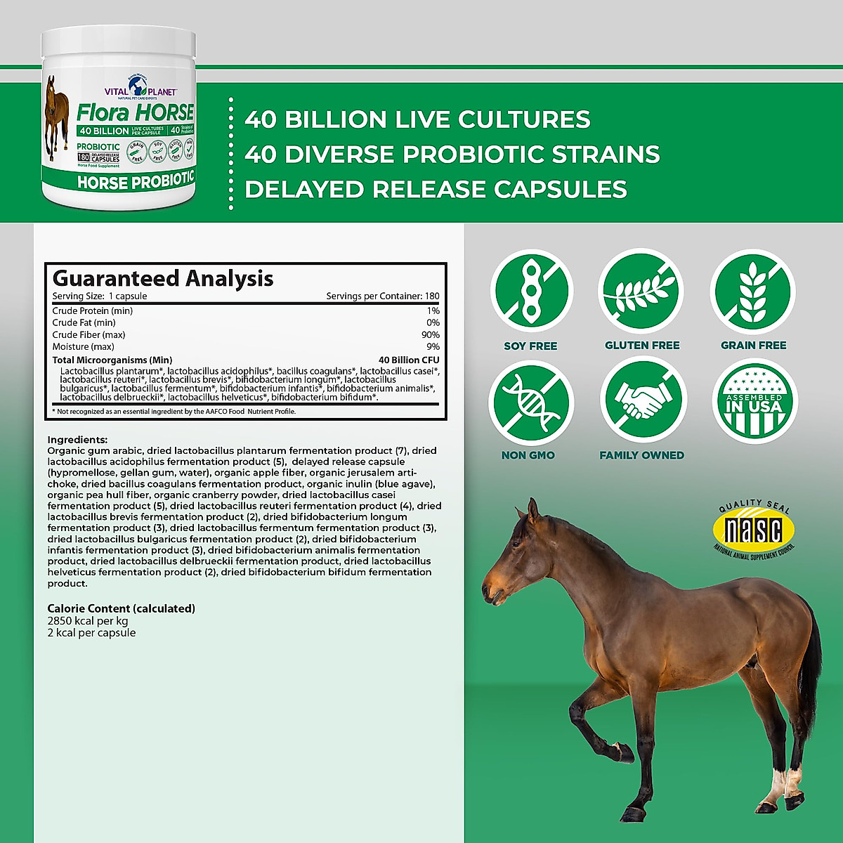 Vital Planet - Flora Horse Probiotic, High Potency Equine Probiotics with Prebiotics, 40 Billion Live CFU from Multiple Strains, Digestive and Immune Support, 180 Delayed Release Capsules (180 Days)