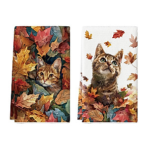 Artoid Mode Maple Leaves Cat Fall Kitchen Towels Dish Towels, 18x26 Inch Autumn Floral Thanksgiving Decoration Hand Towels Set of 2
