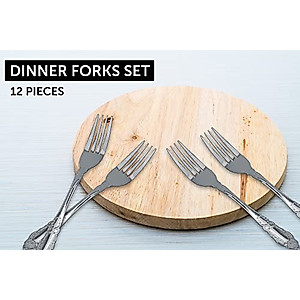 DecorRack Dinner Forks, Set of 12 Stainless Steel Table Forks, Flatware Everyday Silverware use for Home, or Restaurant