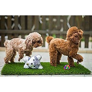 MTBRO Artificial Grass for Dogs, 40in X 28in X 1.5in Dog Potty Grass, Professional Dog Pee Grass, Outdoor Grass Pad for Dogs and Grass for Dogs Potty.