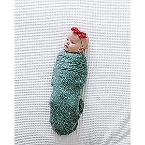 Large Premium Knit Baby Swaddle Receiving Blanket"Juniper" by Copper Pearl