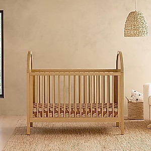 babyletto Bondi Cane 3-in-1 Convertible Crib with Toddler Bed Conversion Kit in Honey with Natural Cane, Greenguard Gold Certified