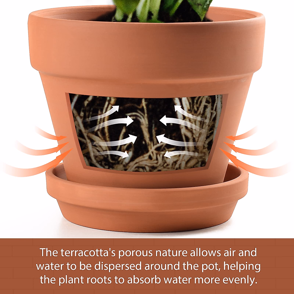 INGOFIN Terracotta Pots Set with Saucer - 2-Pack Ceramic Clay Planters with Drainage Hole, Garden Flower Succulent Pots with Tray for Indoor Outdoor Plants, 8 inch, Set of 2