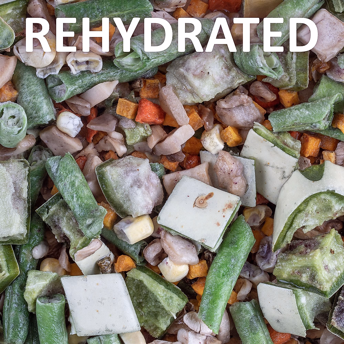 Healthy Herp Tortoise Food Instant Meal 7.7-Ounce (220 Grams) Jar