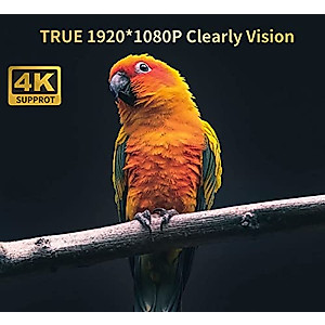 Portable Native 1080P Projector with WiFi Bluetooth,Smart Mini Full HD Home Outdoor Projectors with Netflix Youtobe,Home Theater Video Projector with HDMI USB for Movie Games Laptop Phone Fire Stick