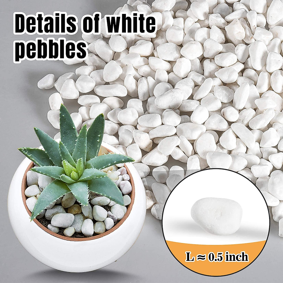 Sukh White Pebbles for Plants - Mini Decorative Rocks White Stones Garden Landscaping Fish Tank Vase Filler Cactus Succulents Aquariums Bonsai White Rock Nearly 400g