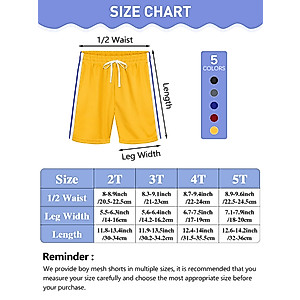 Resinta 5 Pack Toddler Boys Athletic Basketball Shorts Quick Dry Mesh Shorts Active Gym Shorts Soccer Running Sports Shorts