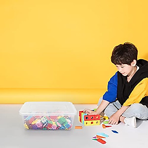 CadineUS 16 Quart Clear Storage Bins, Plastic Tubs with Lids for Storage, 2-Pack