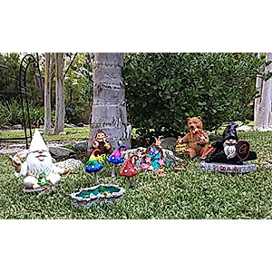 GlitZGlam Duck Pond -Mother and Ducklings! A Miniature Duck Pond for a Miniature Fairy Garden and Miniature Garden Accessories