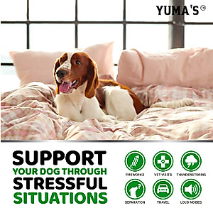 YUMA'S Hemp Calming Chews for Dogs - Advanced Dog Calming Treats - Dog Calming Chews - 170 Chews - Anxiety Relief Treats - Separation Aid, Barking, Stress Relief, Thunderstorms - Melatonin - Hemp Oil