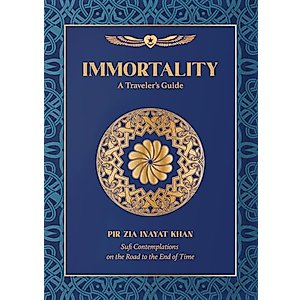 Immortality: A Traveler's Guide